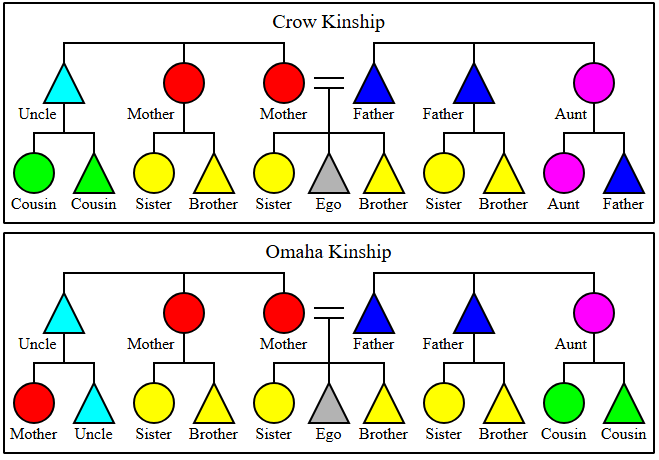 kinship systems