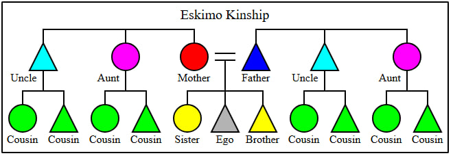 kinship systems