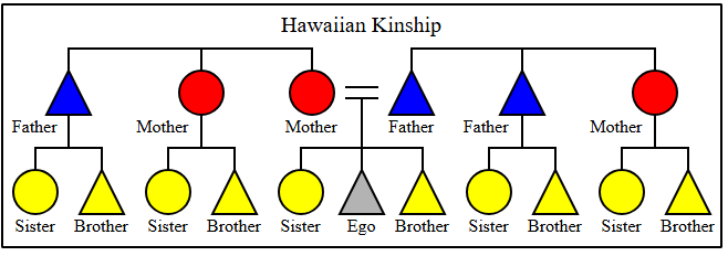 kinship systems